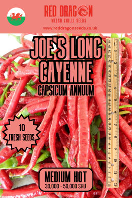 Joe's Long Cayenne Chilli Seeds - 20 Fresh Seeds