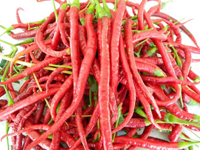 Joe's Long Cayenne Chilli Seeds - 20 Fresh Seeds