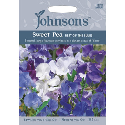 JOHNSON SWEET PEA BEST OF THE BLUES FLOWER SEEDS