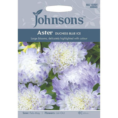 Johnsons Aster Duchess Blue Ice Flower Seeds