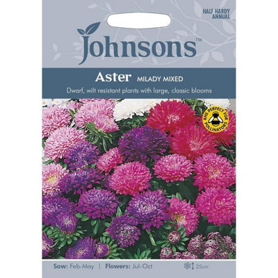 Johnsons Aster Milady Mixed Flower Seeds