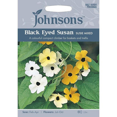 Johnsons Black Eyed Susan Susie Mixed Flower Seeds