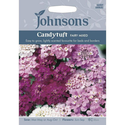 JOHNSONS CANDYTUFT FAIRY MIXED FLOWER SEEDS