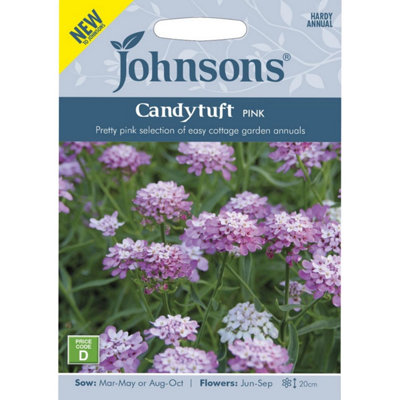Johnsons Candytuft Pink Flower Seeds