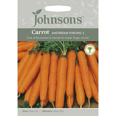 Johnsons Carrot Amsterdam Forcing 3