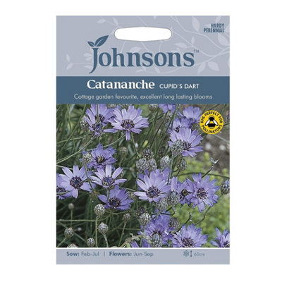 Johnsons Catananche Cupids Dart Flower Seeds