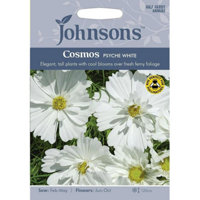 Johnsons Cosmos Psyche White Flower Seeds