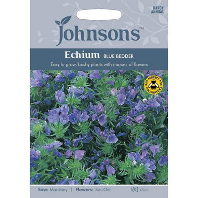 Johnsons Echium Blue Bedder Flower Seeds
