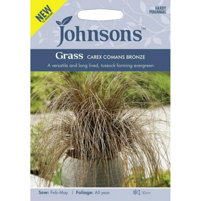 Johnsons Grass Carex Comans Bronze Flower Seeds