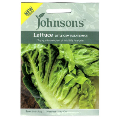 Johnsons Lettuce Little Gem (Pasatiempo) Seeds