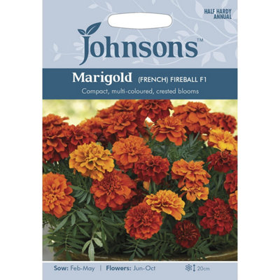 Johnsons Marigold French Fireball F1 Flower Seeds