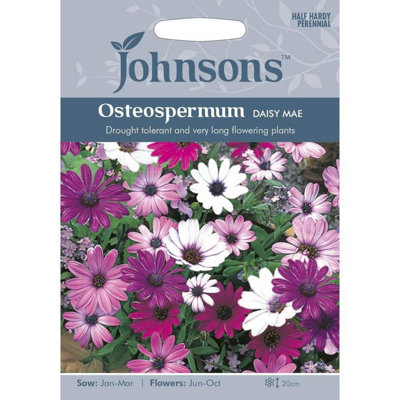 Johnsons Osteospermum Daisy Mae Flower Seeds