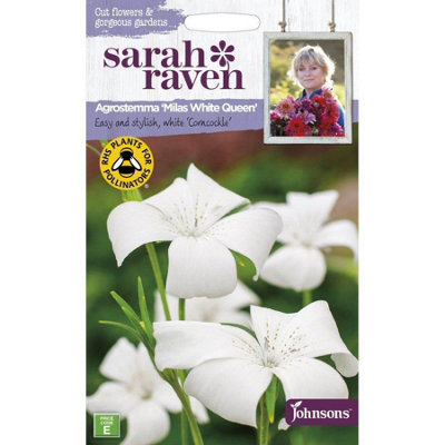 Johnsons Sarah Raven Agrostemma Milas White Queen Flower Seeds