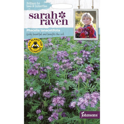 Johnsons Sarah Raven Phacelia Tanacetifolia Flower Seeds