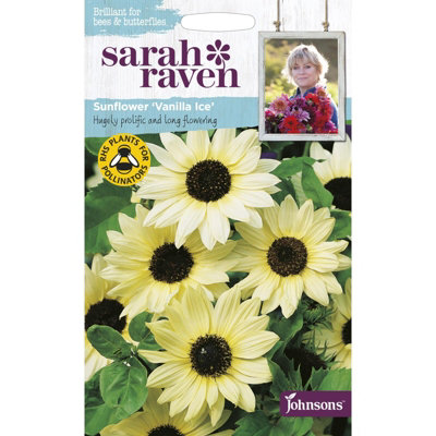 Johnsons Sarah Raven Sunflower Vanilla Ice