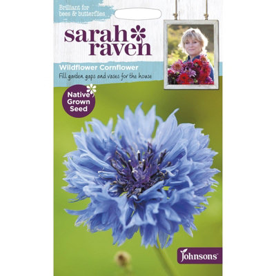 Johnsons Sarah Raven Wildflower Cornflower Flower Seeds
