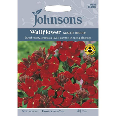 Johnsons Wallflower Scarlet Bedder Flower Seeds
