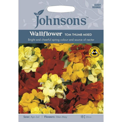Johnsons Wallflower Tom Thumb Mixed Flower Seeds