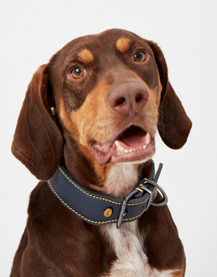 Joules Navy Leather Dog Collar, Medium