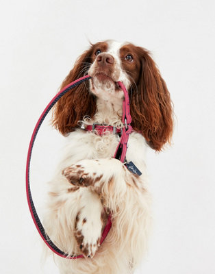 Joules Pink Leather Dog Lead with Padded Handle