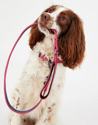 Joules Pink Leather Dog Lead with Padded Handle