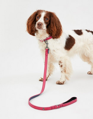Joules Pink Leather Dog Lead with Padded Handle