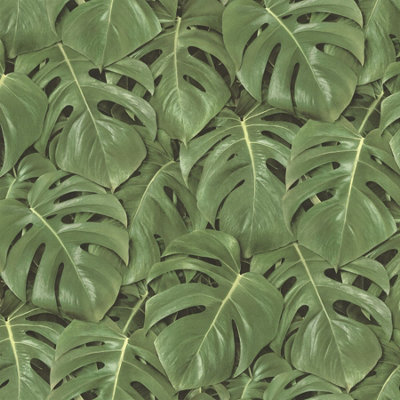 Jungle Exotic Tropical Leaves Palm Tree Wallpaper Paste The Wall Vinyl ...
