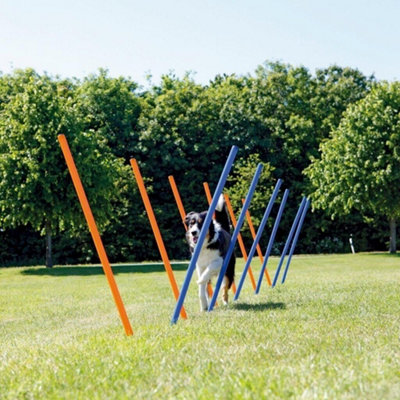 K9 Pursuits Pet Dog Agility Slalom Weave Poles Training Obstacle Course ...