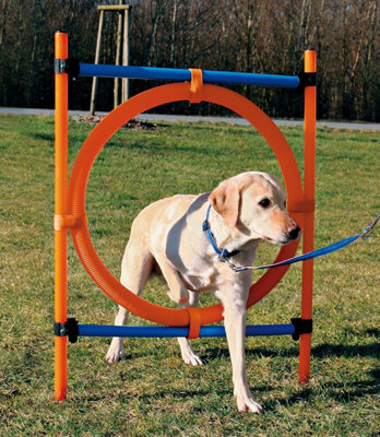 K9 Pursuits Pet Dog Agility Training Jumping Ring Hoop Hurdle Outdoor Fun