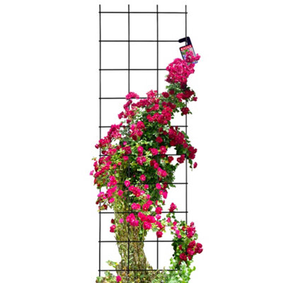 KADAX Trellis Steel Trellis Wall Support for Plants Garden Balcony ...