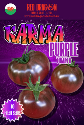 Karma Purple Multiflora Tomato Seeds - 15 Fresh Seeds