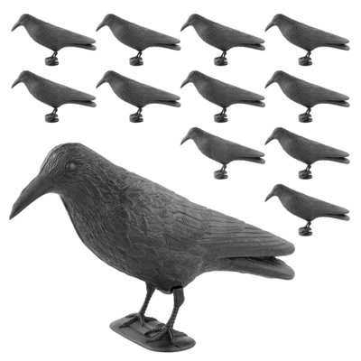 KCT 12 Pack of Crow Decoy Full Bodied Realistic Hunting Prop and Bird ...