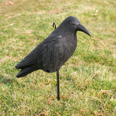 KCT 12 Pack of Crow Decoy Full Bodied Realistic Hunting Prop and Bird ...