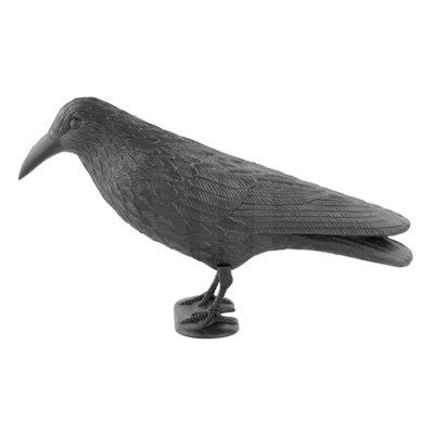 KCT 12 Pack of Crow Decoy Full Bodied Realistic Hunting Prop and Bird ...