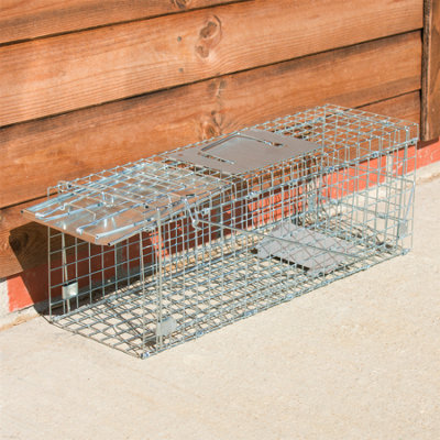 KCT Humane No Kill Squirrel Trap - 4 Pack