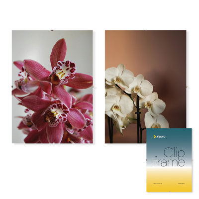 Kenro Box of 2 Clip Frame 16x20 Inch / 40x50cm with Acrylic Front for ...