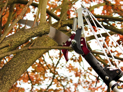 Draper tree pruner store