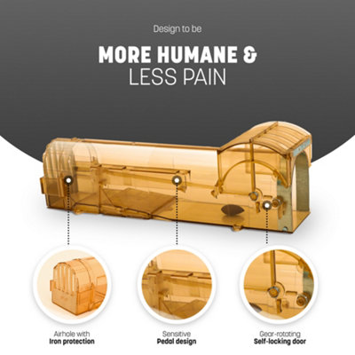 KEPLIN Humane Mouse Trap - Brown - 1pk