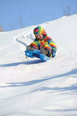 Kids Sledge with Brakes by Dantoy Black 79cm 6755 Bob Sled Toboggan ...