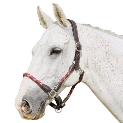 Kincade Braided Leather Horse Headcollar Maroon (Cob)