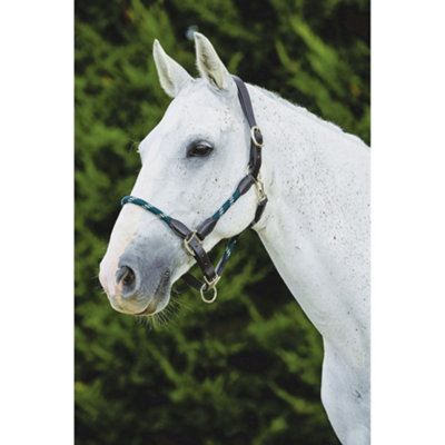 KINCADE LEATHER ROPE HEADCOLLAR HUNTER GREEN/BROWN (COB)