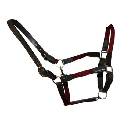 Kincade Leather Web Headcollar Burgundy/Brown (Cob) | DIY at B&Q