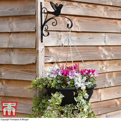 King Swallow Garden Wall Bracket Black Decorative Sturdy Metal Bracket ...