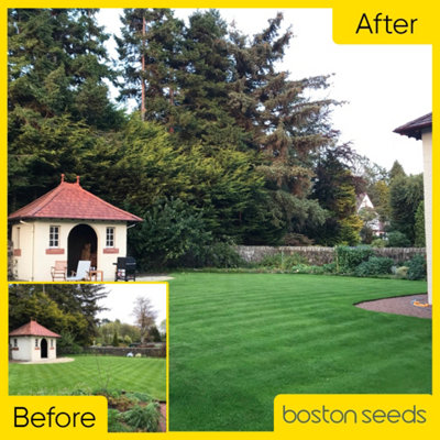 KissMyGrass Lawn Revivor and Moss Destroyer (1 x 20kg)