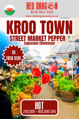 Kroo Town Street Market Pepper Seeds for Home Garden Growing