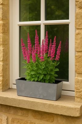 Lamela™ Begonia Window Box Black Concrete Stone Effect Resin Planter ...