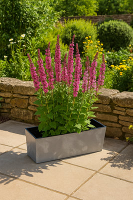 Lamela™ Begonia Window Box Black Concrete Stone Effect Resin Planter ...
