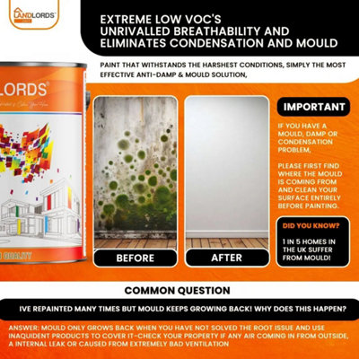 Landlords Paint - Matt Paint - Smooth Matt Finish for Walls & Ceilings ...