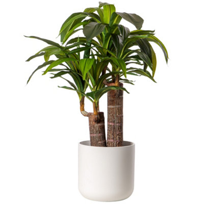 Large 80cm Artificial Spineless Yucca Elephantipes Plant - Indoor ...