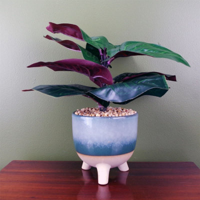 LARGE ARTIFICIAL FICUS PLANT WITH TEAL BLUE GREEN CERAMIC PLANTER BOTANIK